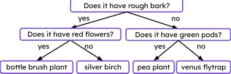 Classification Keys To Identify Plants Ks2 Y4 Science Lesson