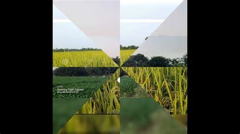 Amader Gram Amader Gorbo Youtube