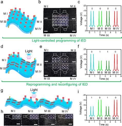Reprogramming And Reconfiguration Of The Integrated Ied A Schematic Download Scientific