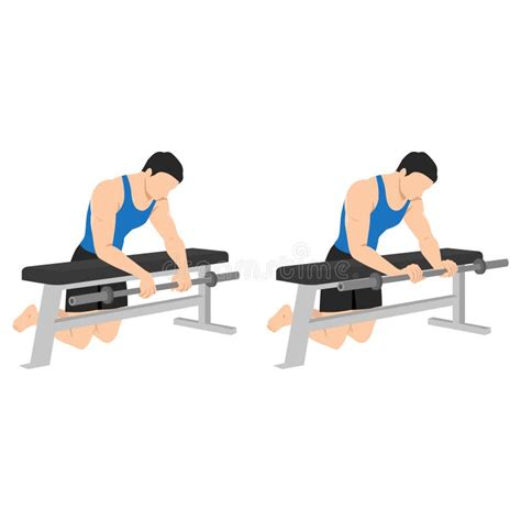 Forearm Curls Stock Illustrations 14 Forearm Curls Stock