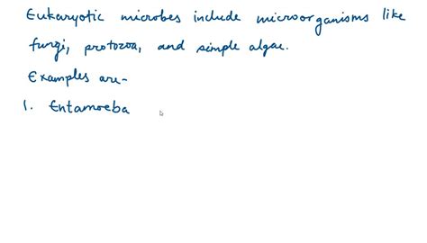 Solved 2 Examples Of Macroscopic Groups And 2 Examples Of Microscopic Groups For The Following