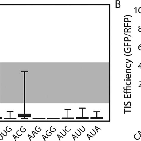 A Subset Of Non Aug Codons Can Be As Efficient As Aug Start Codons A