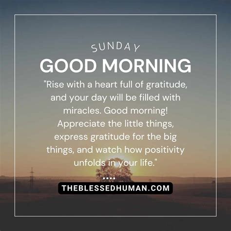 100 Good Morning Quotes And Wishes To Rise And Shine The Blessed Human
