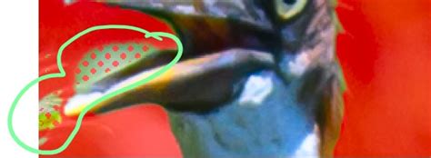 Solved Brush Tool Not Working To Edit Mask Adobe Community 14755439