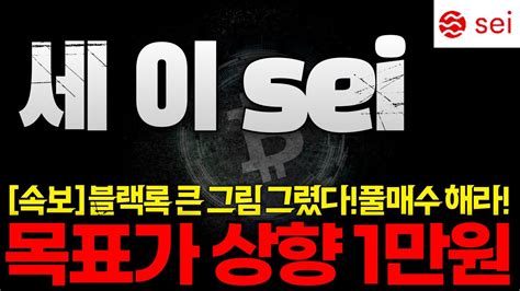 세이코인 1만원 갑니다 지금부터 쓸어 담으세요 세이코인 세이코인전망 Sei Btc 코인전망 Youtube