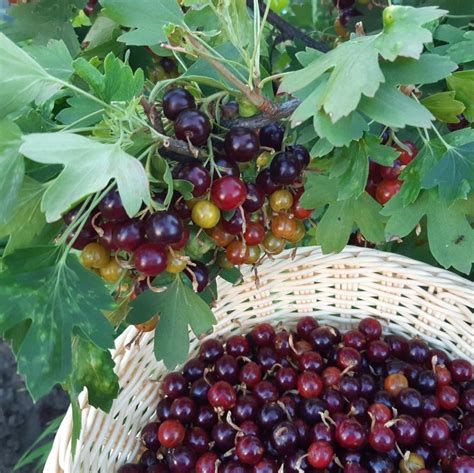 Pin By Katerina M On РАЗНОЕ