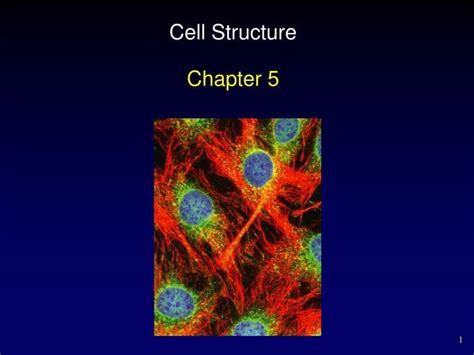 PPT Cell Structure PowerPoint Presentation Free Download ID
