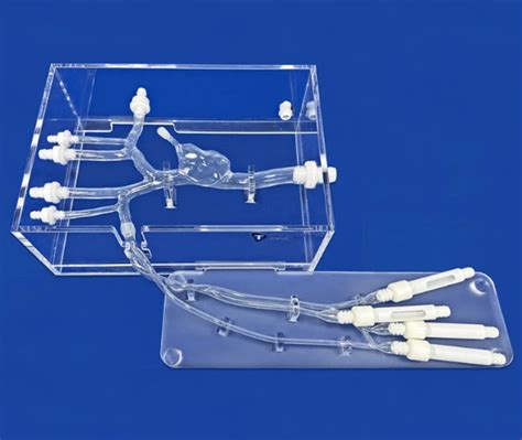 Knowledge About PICC Line Placement Knowledge