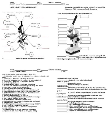 Activity 1 Microscope Pdf Microscope Microscopy