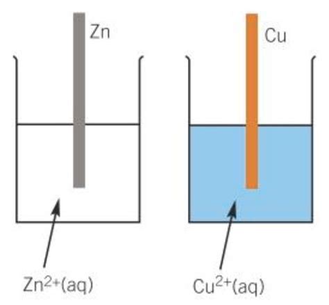 Module 5 Electrode Potential Flashcards Quizlet