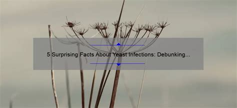 5 Surprising Facts About Yeast Infections Debunking The Myth Of Sperm As The Culprit Expert