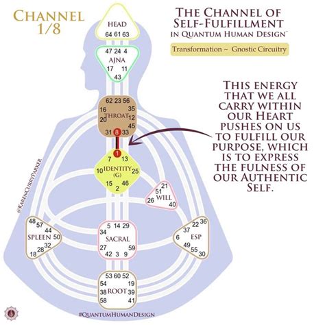 Quantum Human Design™ Basics Human Design Human Design System Human