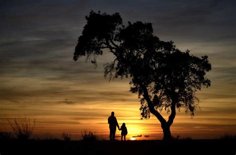 WHAT IS DYNAMIC RANGE AND WHY YOU SHOULD KNOW IT