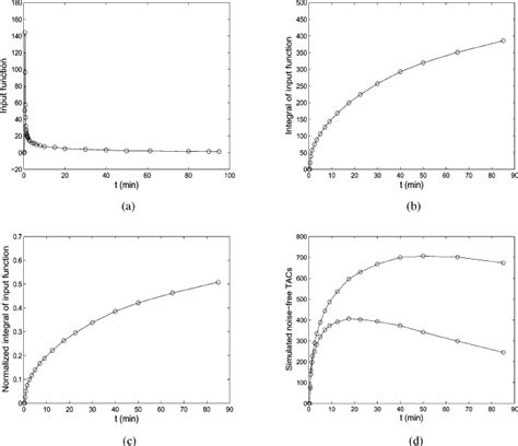 a input function used in the simulation b integral of the input