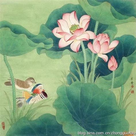 工筆畫 國畫精品之愛蓮者說碧荷生幽泉朝日艷且鮮 每日頭條