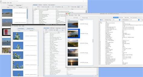 Download Exiftool Terbaru 2025 Free Download