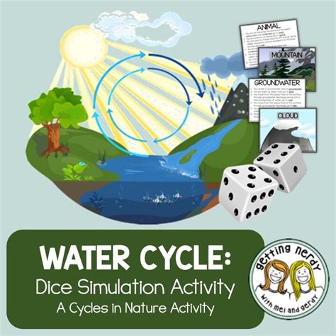 Ecology Water Cycle Dice Simulation Game