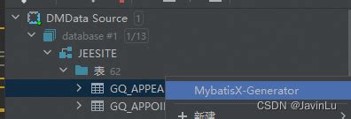 SpringBoot项目使用MyBatisX Apifox IDEA 插件快速开发 idea springboot插件 CSDN博客