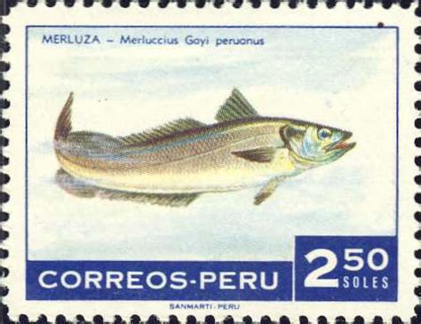 Worms World Register Of Marine Species Photogallery