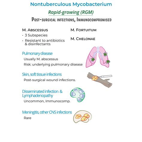 Immunology Microbiology Glossary Nontuberculosis Mycobacterium