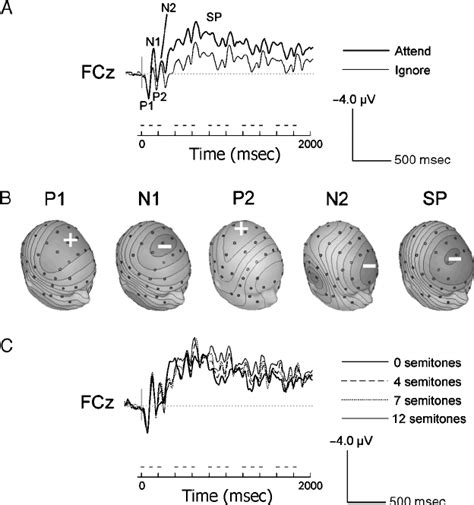 Group Mean Erps To The Beginning Of The Trial A Erp Response To The Download Scientific