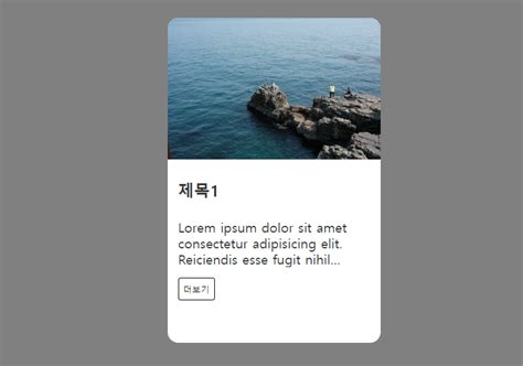 CSS로 더보기 버튼 만들기