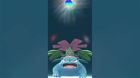 포켓몬고 이상해꽃 No 3 메가 진화 Youtube