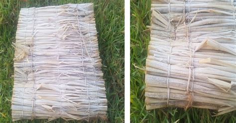 청주 올 가을 첫 서리 관측평년 보다 일주일 빨라