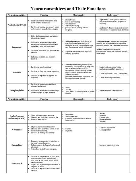 Neurotransmitters Chart 2024 Pdf Dopamine Acetylcholine