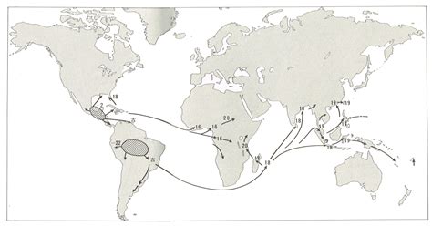 キャッサバ栽培の伝播 Propagation of cassave cultivation
