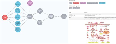 Charting New Paths Enhancing Biology Knowledge Graph In Neo4j With