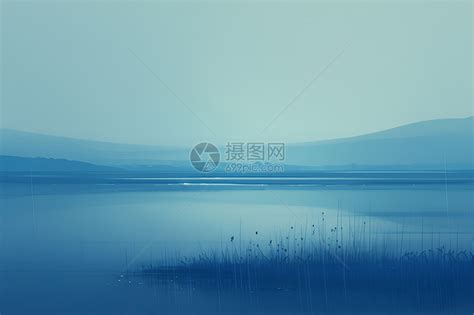 夜幕河流边的草地插画图片下载 正版图片601203046 摄图网