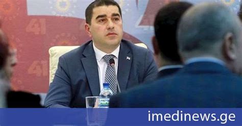 შალვა პაპუაშვილის თქმით პარლამენტში ინიცირებული კანონპროექტი იყო ამერიკული კანონის პირდაპირი