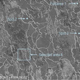 Microstructure Image Of The Substrate Material Taken By SEM With 1000 Download Scientific