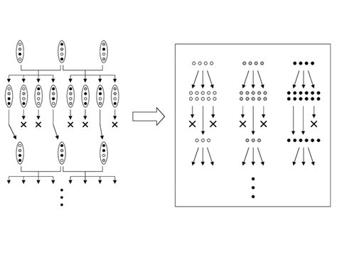 The Gene Centered View Of Evolution Is Illustrated On The Right As A