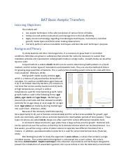 Mod 3 Aseptic Techniques Lab Pdf BAT Basic Aseptic Transfers Learning Objectives The Babe