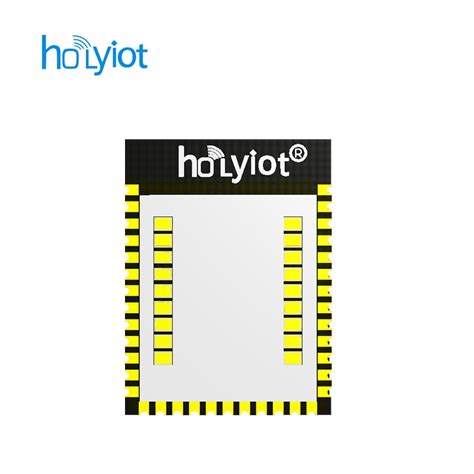 Holyiot 18010 Nordic Nrf52840 Bluetooth 5 Module B Grandado