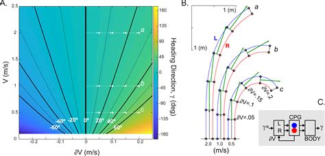 Analytical Cpg Model Driven By Limb Velocity Input Generates Accurate Temporal Locomotor