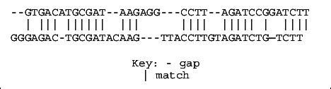 Example Of Sequence Alignment Download Scientific Diagram