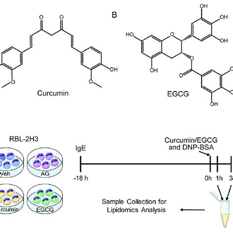 Statistical Information Of Biomarker Candidates Download Scientific