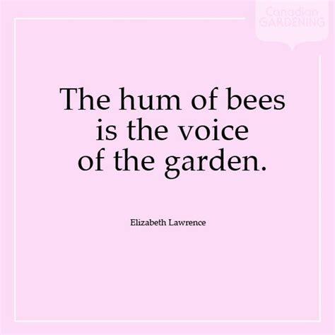 Voice Of The Garden Garden Quotes Bee Quotes