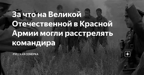 За что на Великой Отечественной в Красной Армии могли расстрелять командира Русская Семёрка Дзен