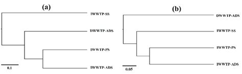 The Tree Represents The Upgma Hierarchical Clustering Results Of The