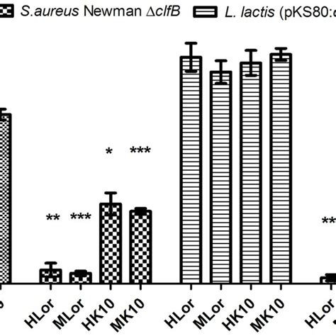Clfb Promotes Adherence Of S Aureus Newman And L Lactis To Loricrin Download Scientific