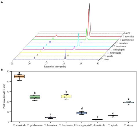 Diversity And Effects Of Competitive Trichoderma Species In Ganoderma