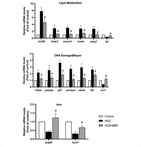 Validation Of The Microarray Data Using Quantitative Real Time Pcr Download Scientific