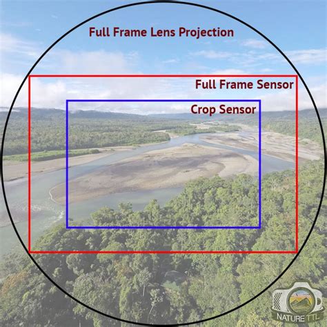 the difference between full frame and crop sensors nature ttl