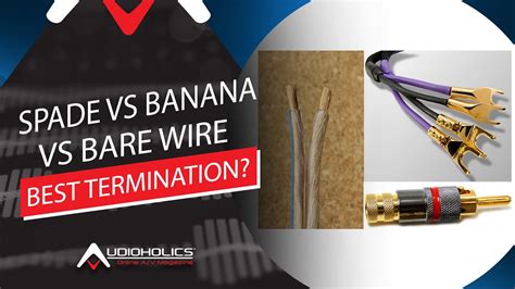 Banana Plugs Vs Bare Wire At Kristie Cummings Blog