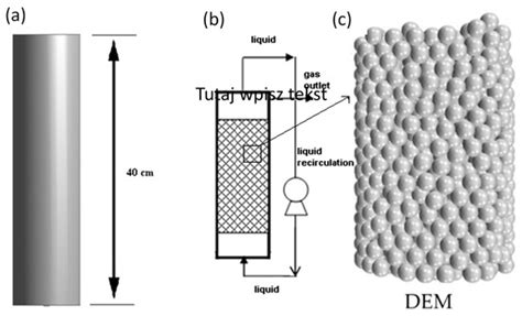 Bio Hydrogen Production In Packed Bed Continuous Plug Flow Reactor—cfd Multiphase Modelling