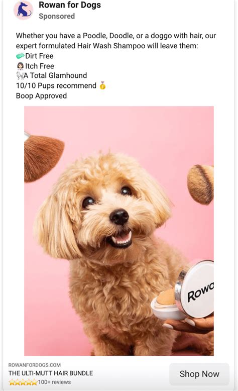 10 Facebook Ad Examples To Inspire Your Own Marketing Shopify